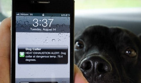 Dog Caller, Ti Manda Un SMS Quando Il Cane Ha Troppo Caldo